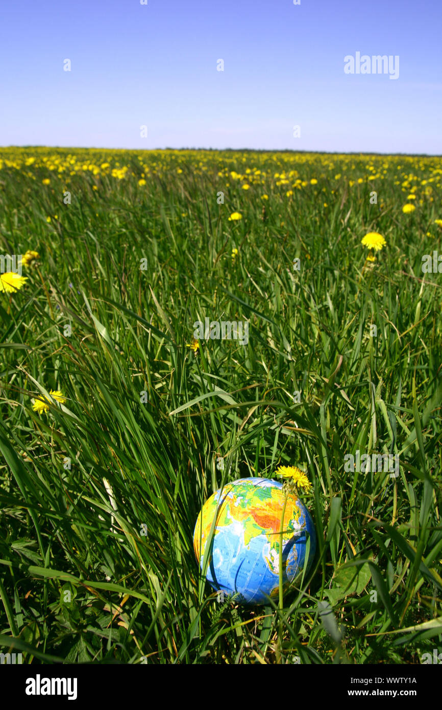 globe of planet earth in green grass Stock Photo - Alamy