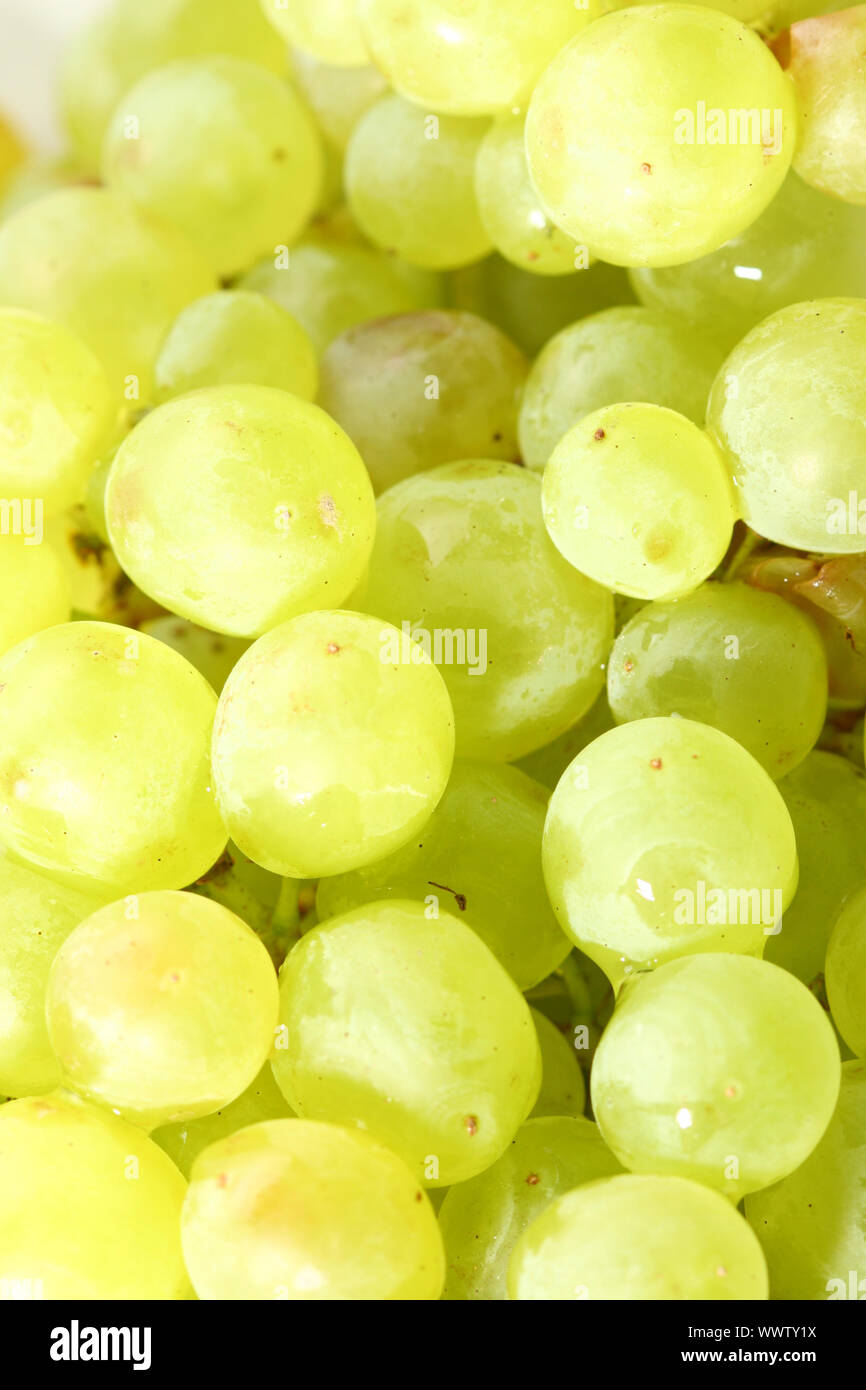 green grape isolated on white background Stock Photo - Alamy