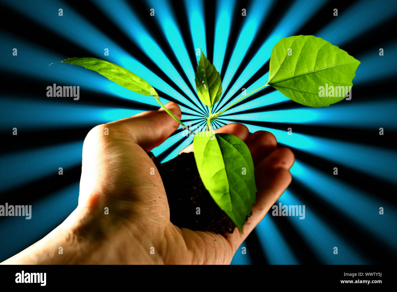 hand plant new life care concept Stock Photo - Alamy