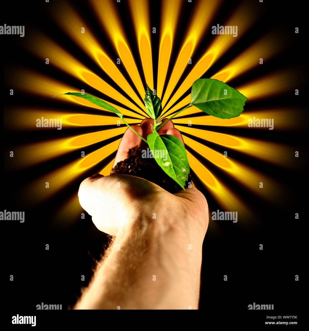 hand plant new life care concept Stock Photo - Alamy