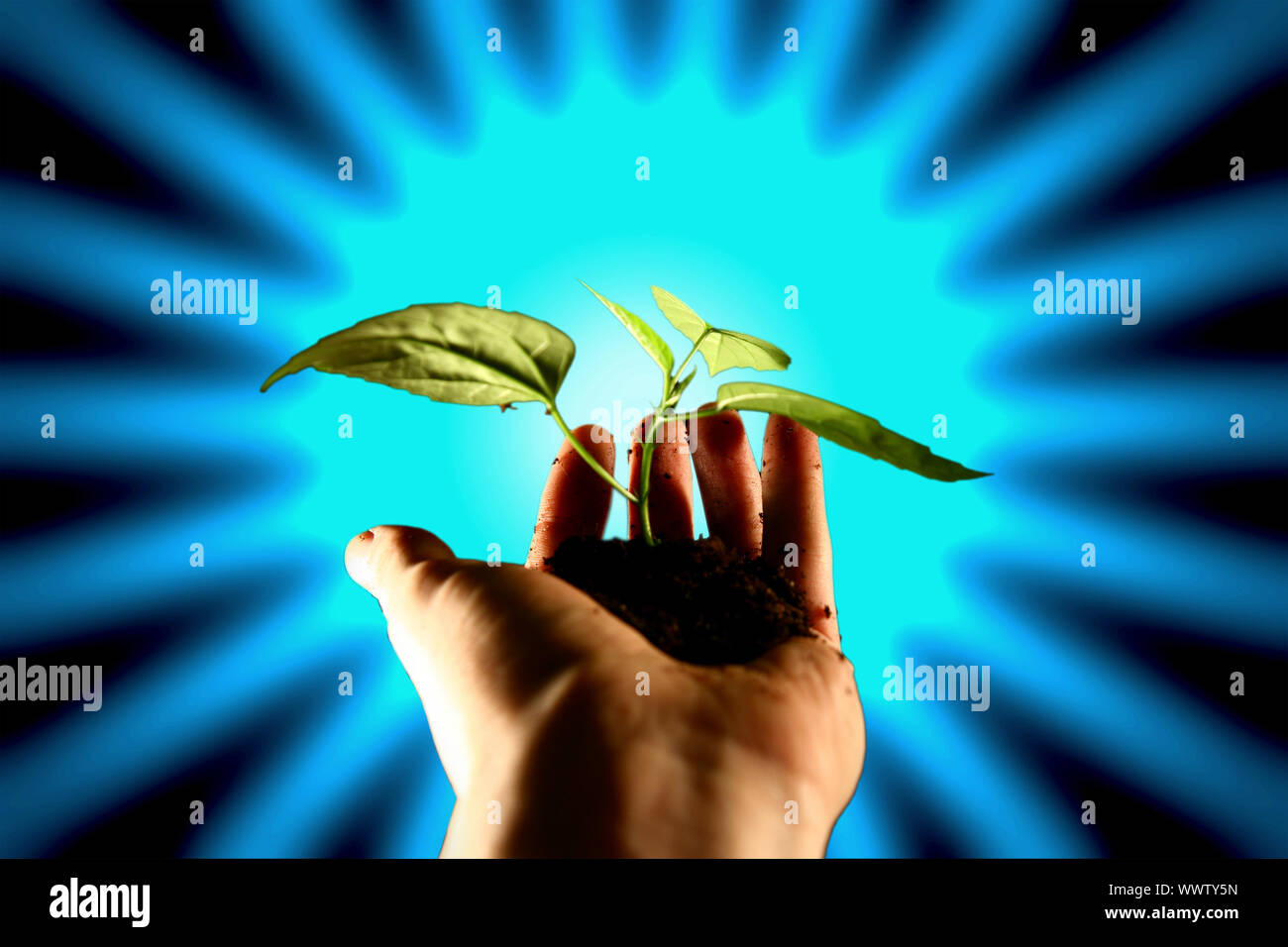 hand plant new life care concept Stock Photo - Alamy