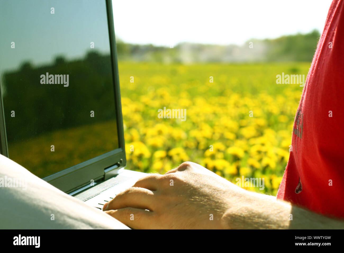 creative business laptop nature work Stock Photo - Alamy