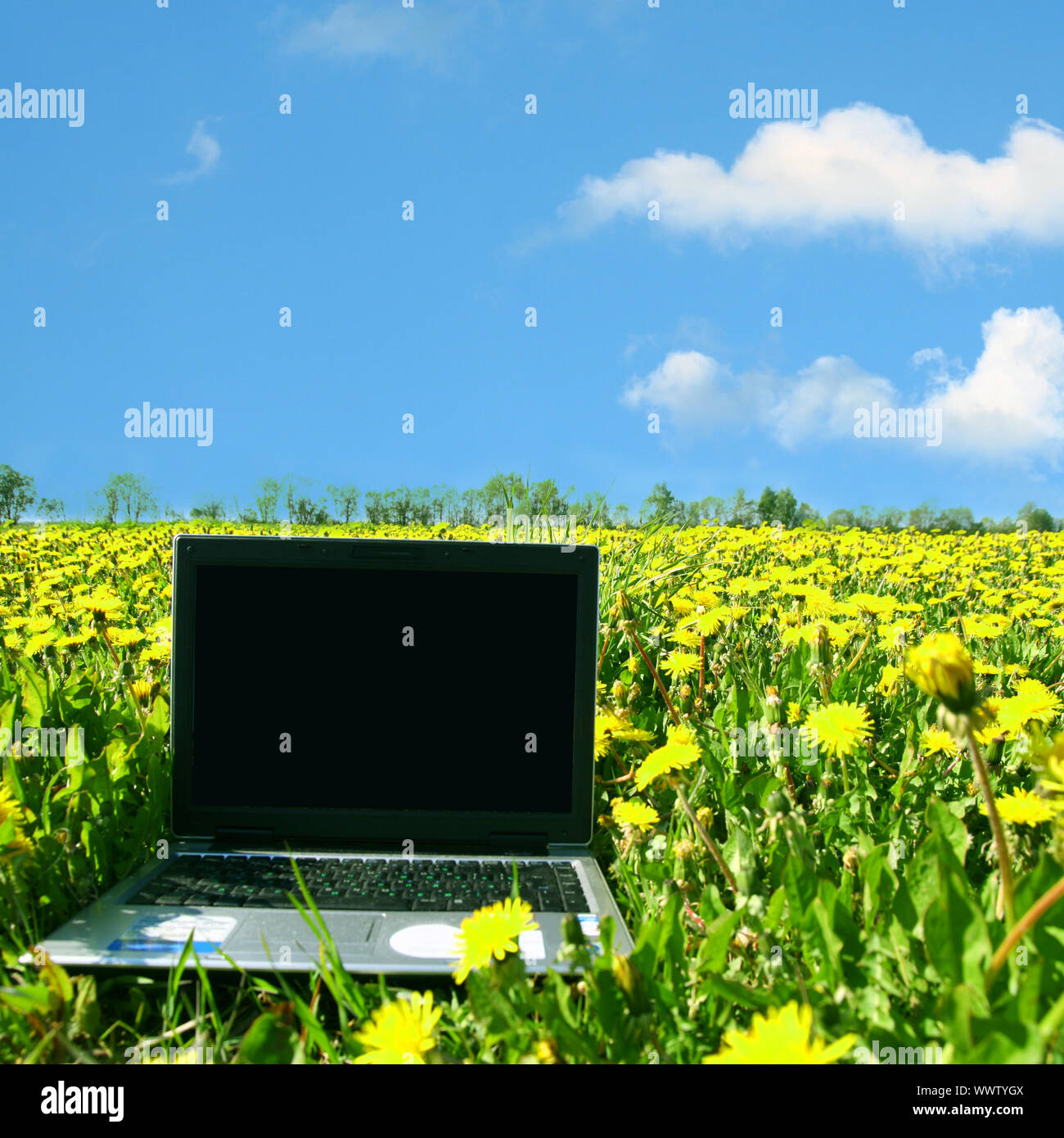 creative business laptop nature work Stock Photo - Alamy