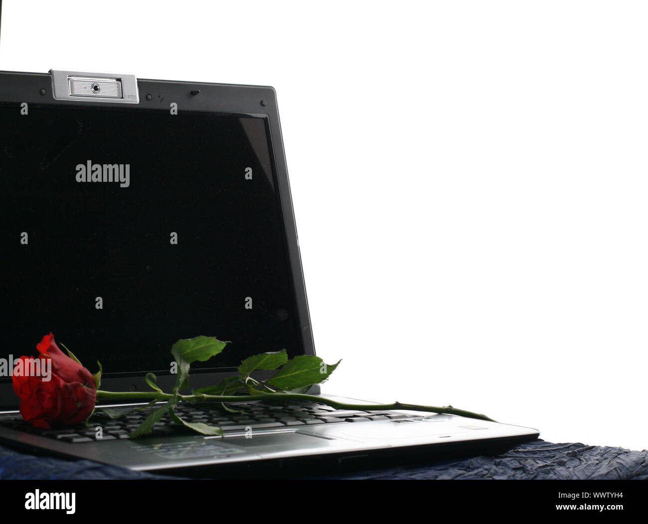 Red rose on laptop computer hi-res stock photography and images - Alamy