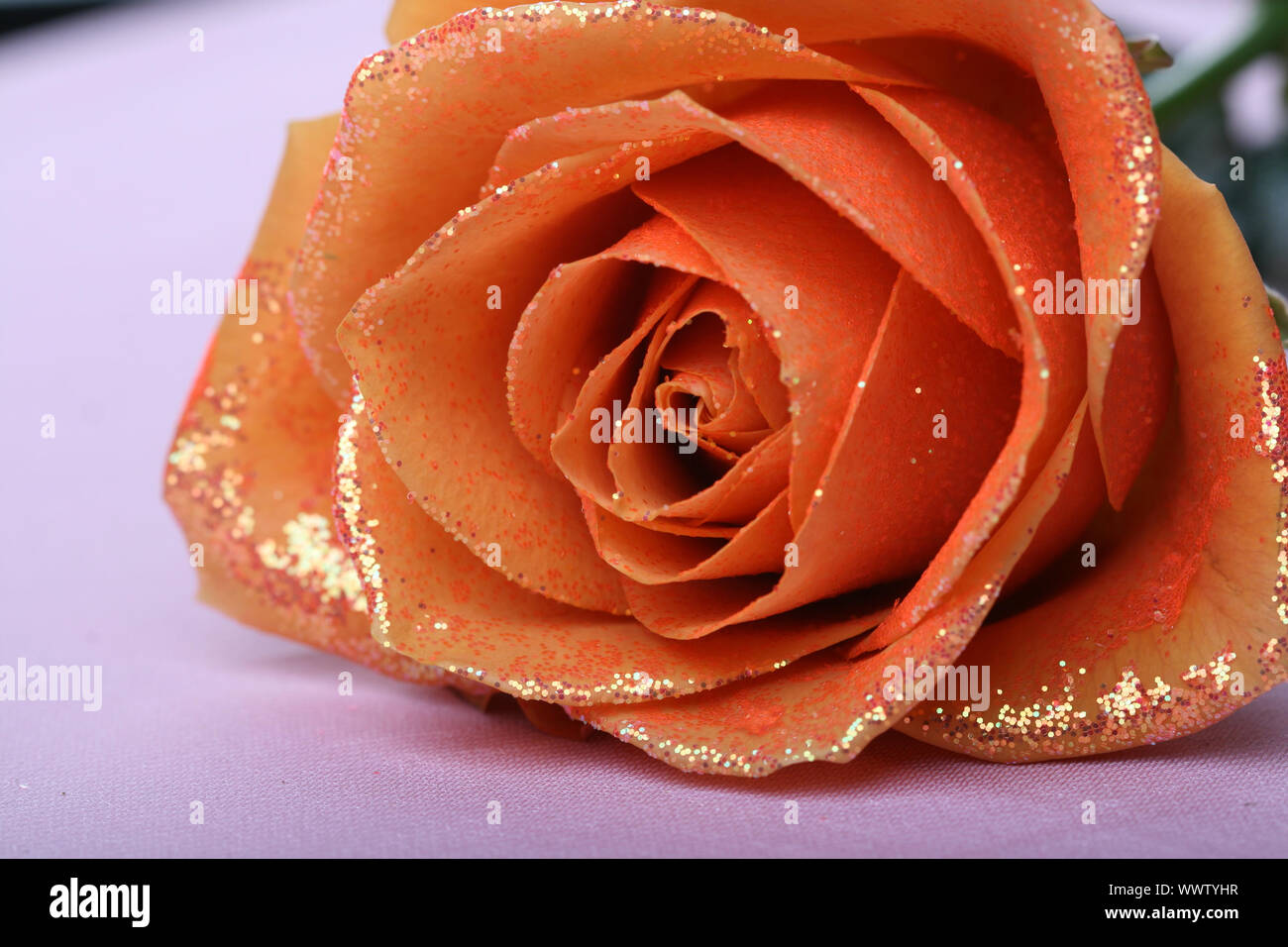 Victorian style holiday decor hi-res stock photography and images - Alamy