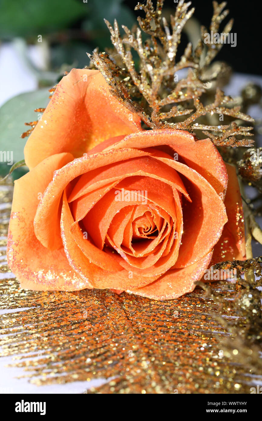 Victorian style holiday decor hi-res stock photography and images - Alamy