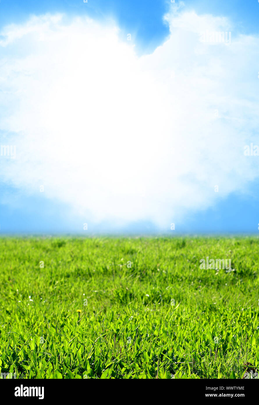sky grass field nature background Stock Photo - Alamy