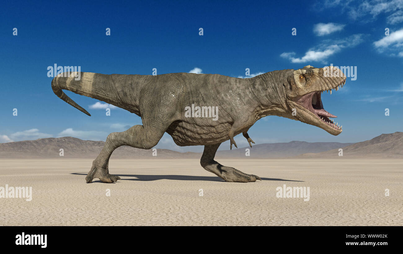 T-Rex Dinosaur, Tyrannosaurus Rex reptile, prehistoric Jurassic animal ...