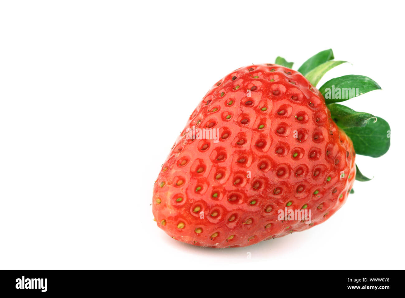 one strawberry on white background Stock Photo - Alamy