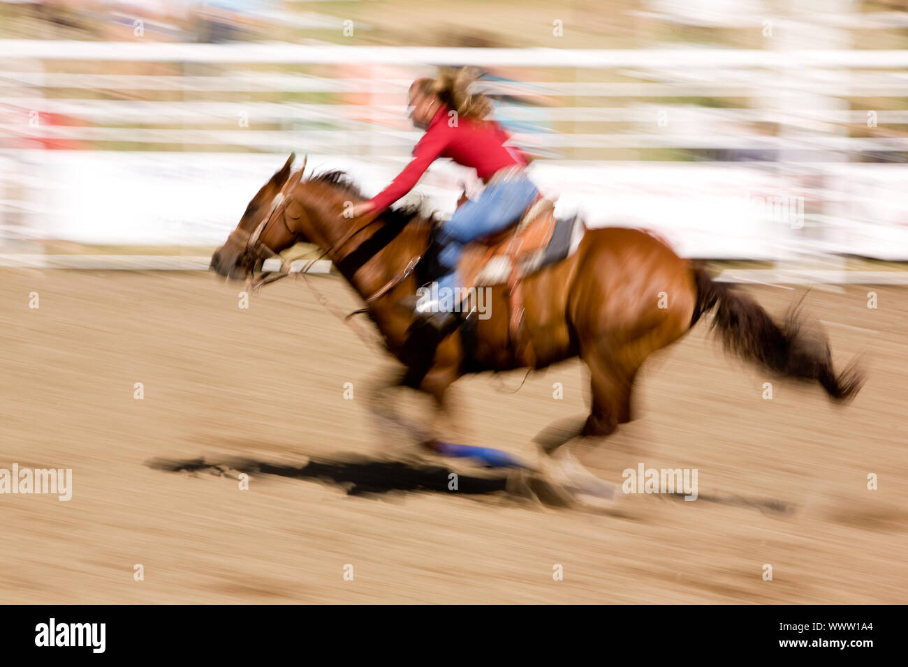 A horse running fast with a female rider - with motion blur Stock Photo ...
