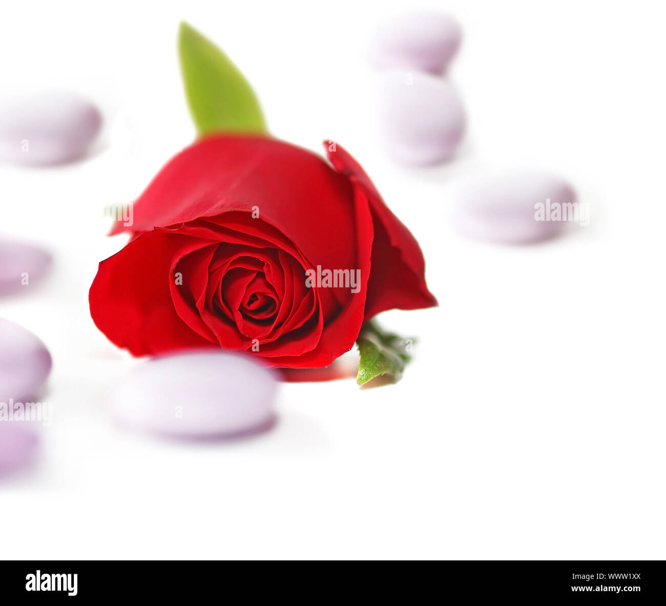 Red Rose with candy on white Stock Photo - Alamy