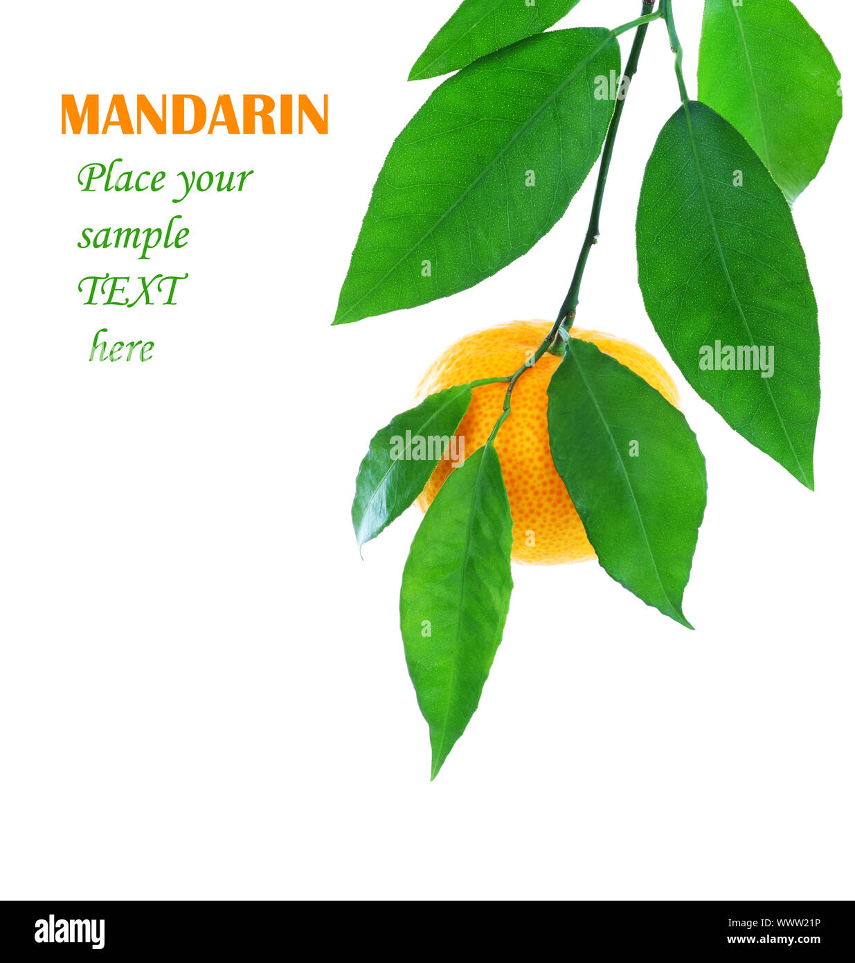 Ripe fresh mandarin with leaves isolated on white background Stock ...