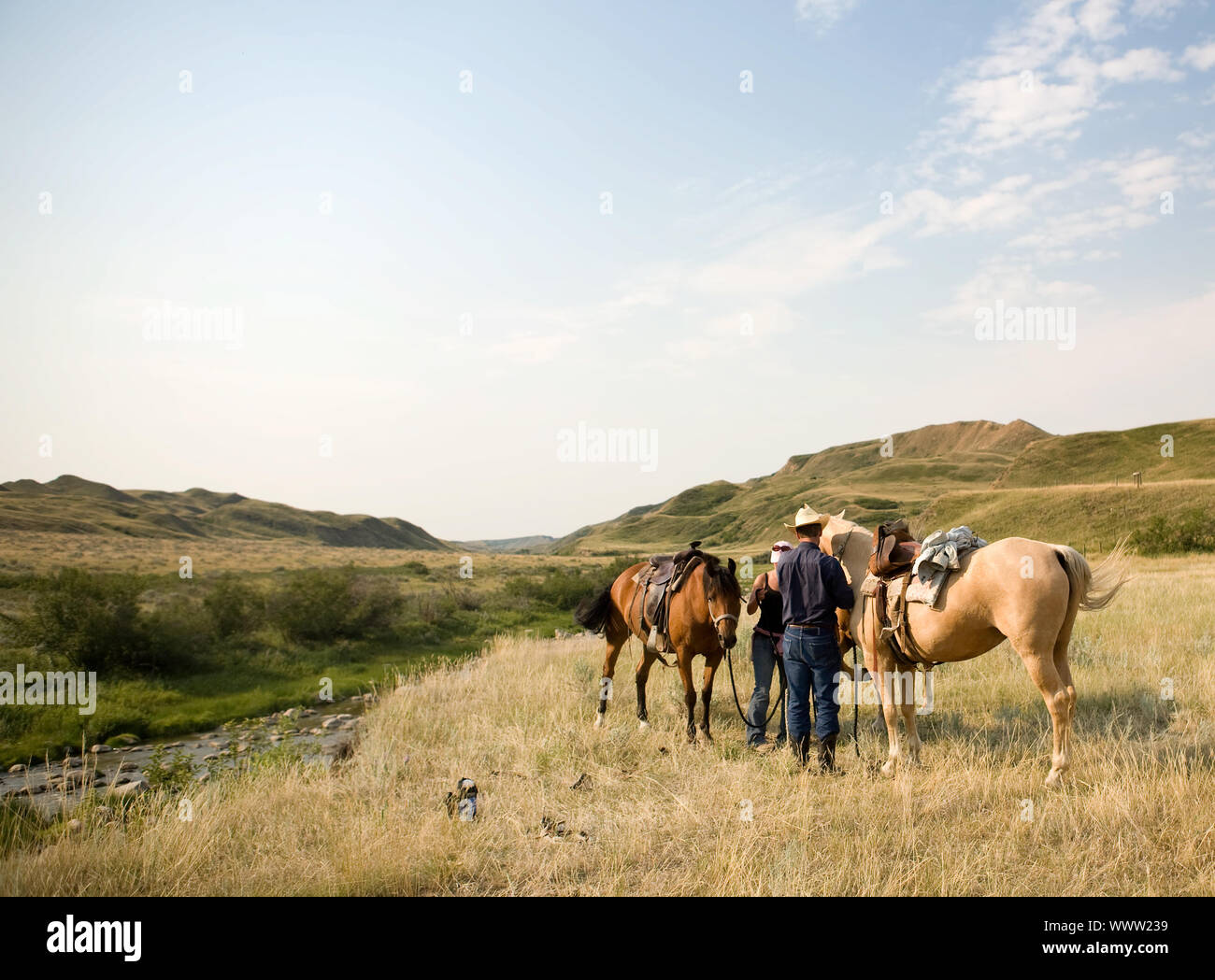 Western cowboy riding green not rodeo hi-res stock photography and ...
