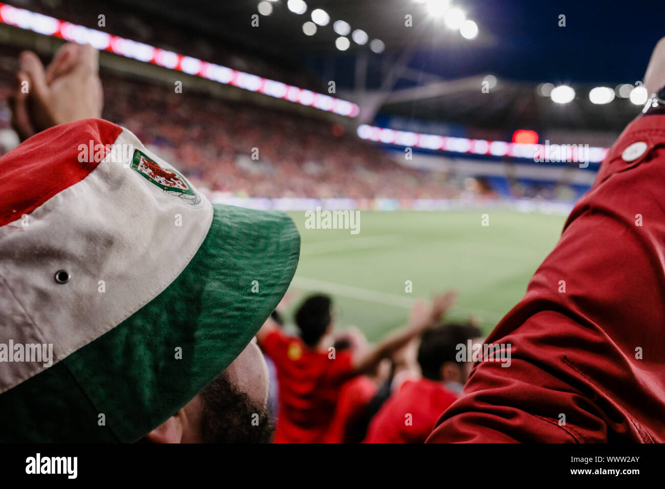 Fans wales hi-res stock photography and images - Alamy