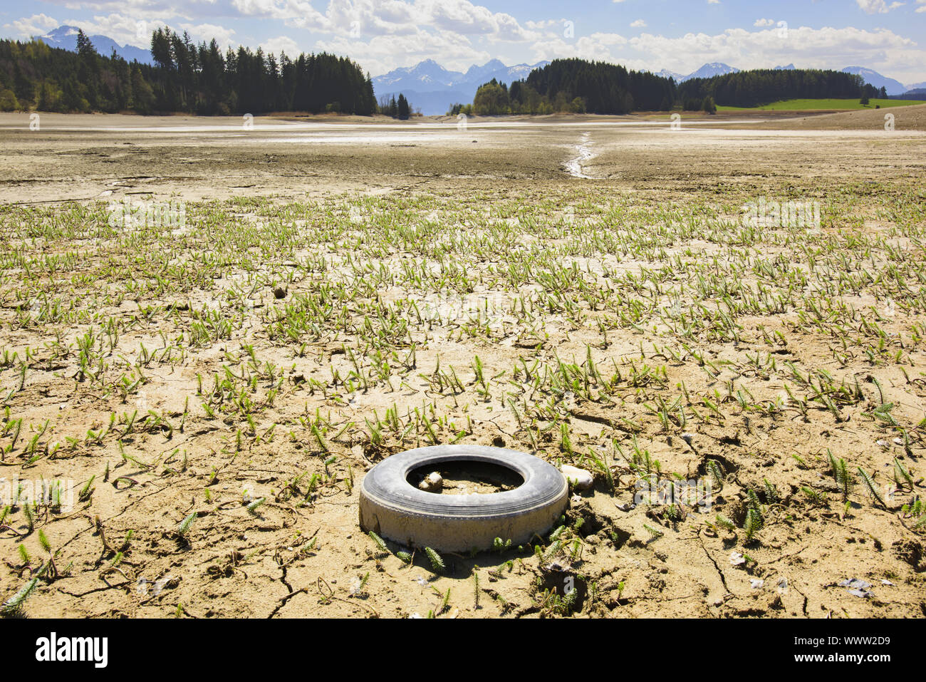 Drought and drought in the field Stock Photo - Alamy