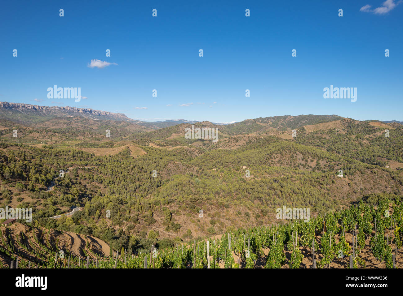 View to the natural park Serra de Montsant, Catalonia, Spain Stock ...