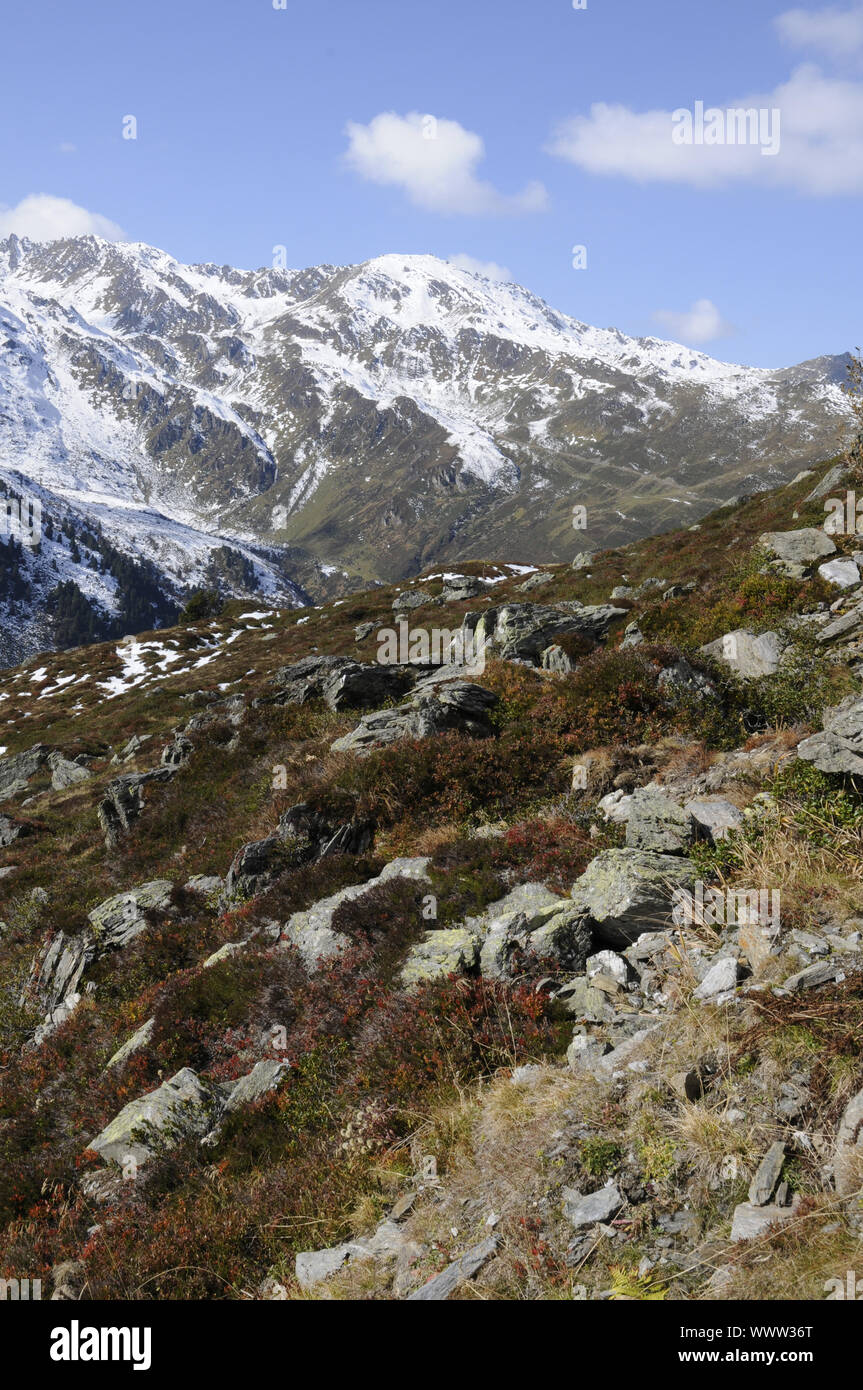 Tuxer alpen hi-res stock photography and images - Alamy