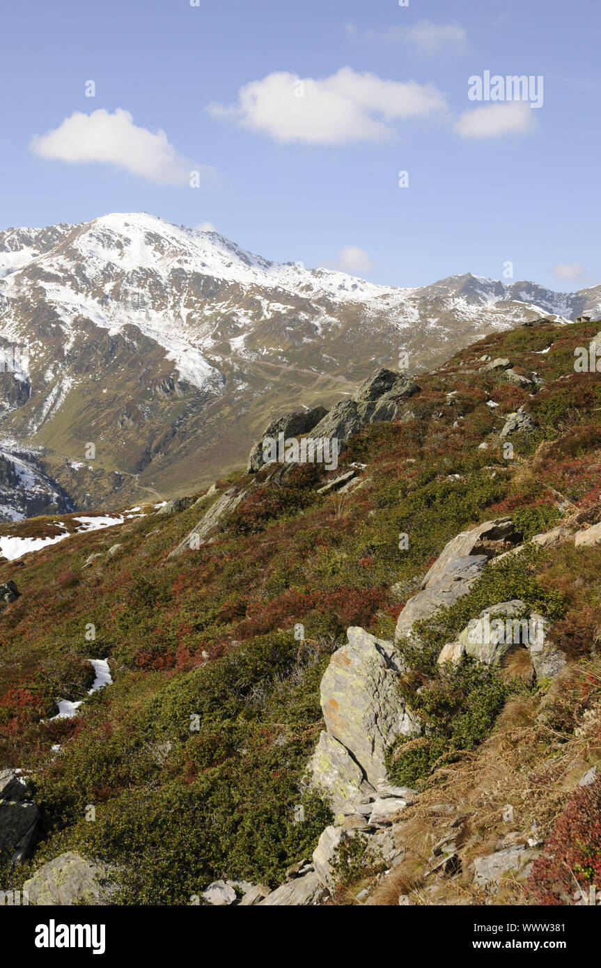 Tuxer alpen hi-res stock photography and images - Alamy