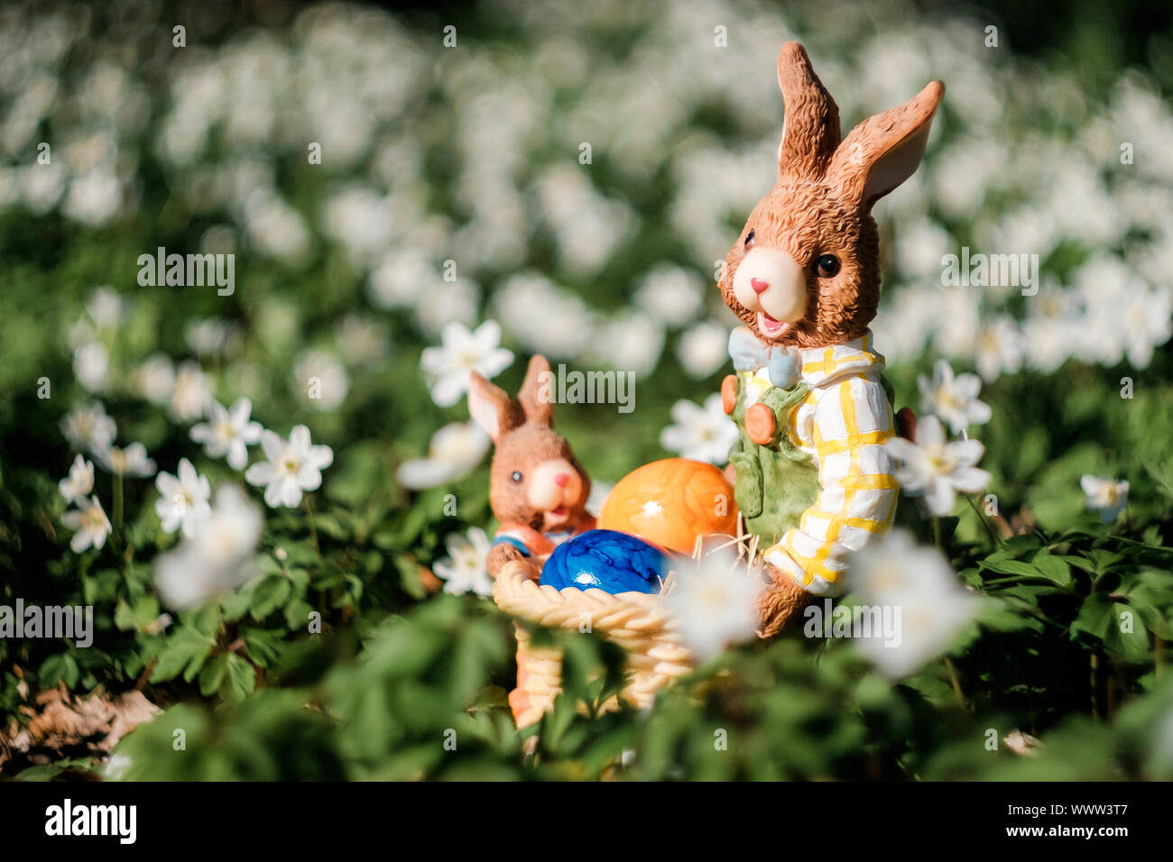 Easter motive with Easter bunny Stock Photo - Alamy