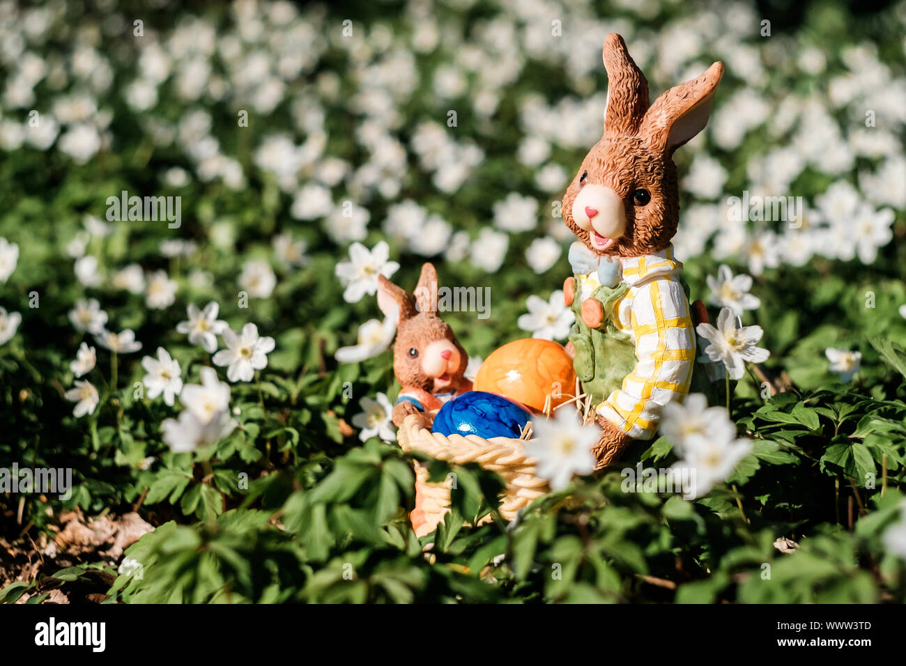 Easter motive with Easter bunny Stock Photo - Alamy