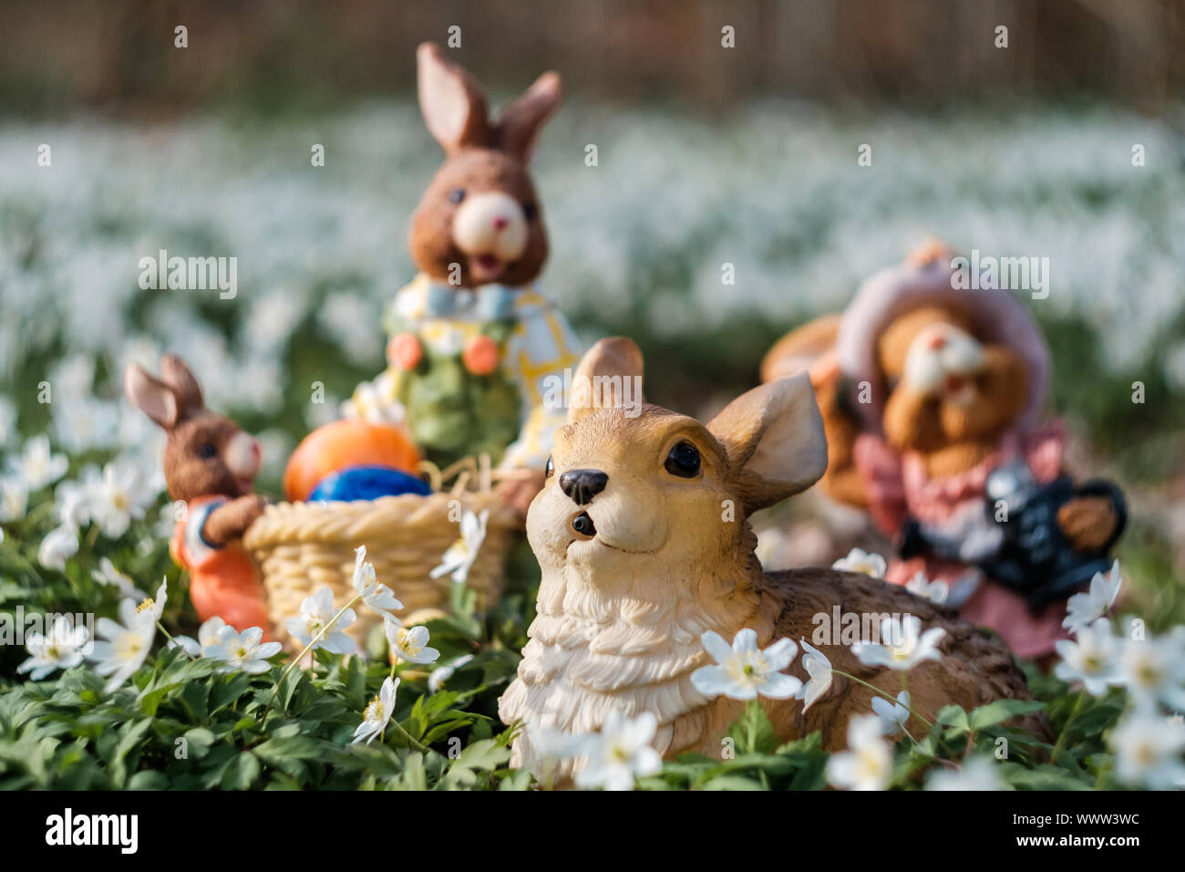 Easter motive with Easter bunny Stock Photo - Alamy