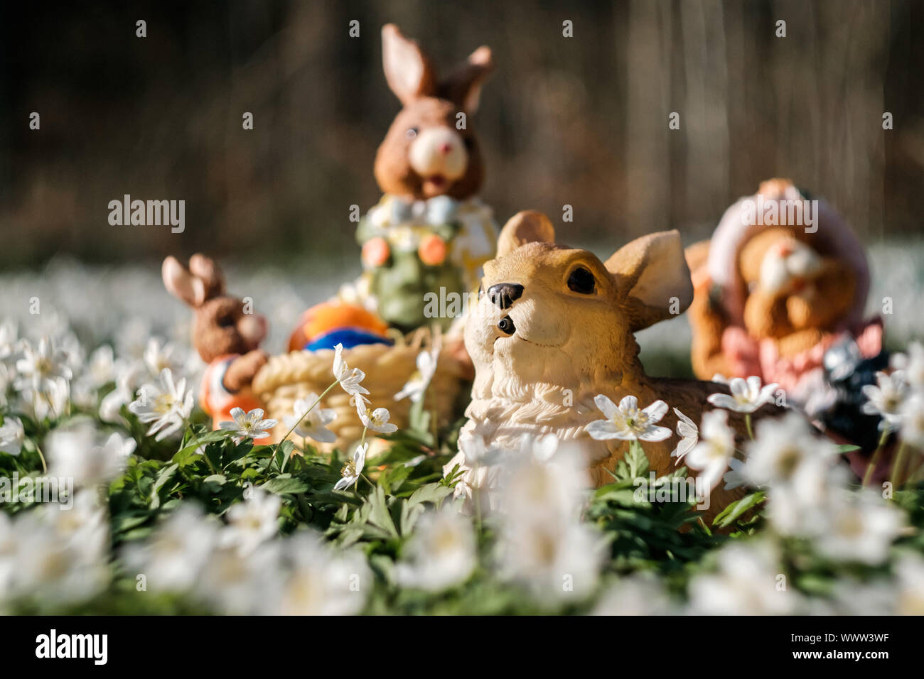 Easter motive hi-res stock photography and images - Alamy