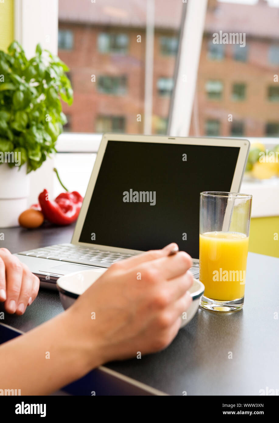 Eating breakfast at the computer in an apartment kitchen Stock Photo ...