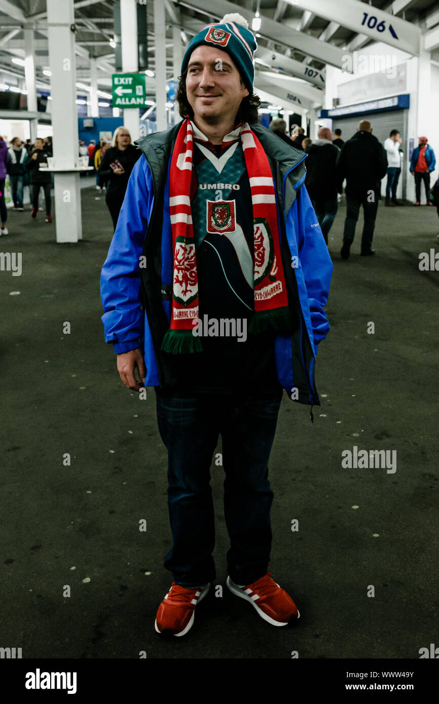 Welsh Football Fan Culture - The Red Wall - Fans Watching the action ...