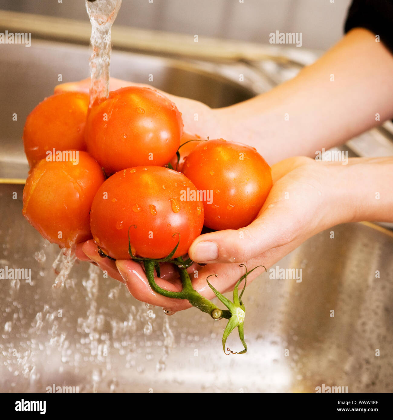 A detail image of washing tomatoes at home in the sink Stock Photo - Alamy