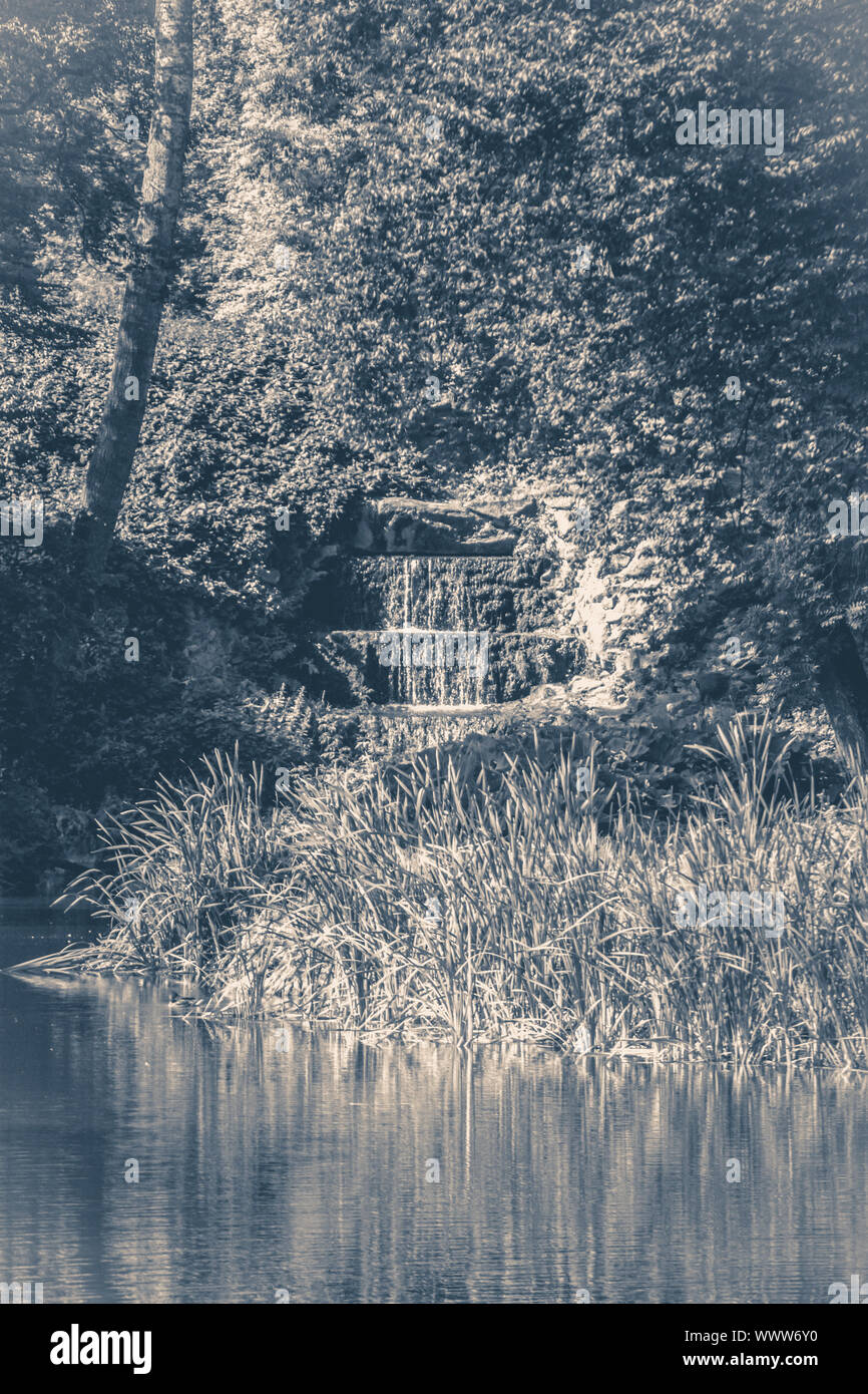 Forest edge effect hi-res stock photography and images - Alamy