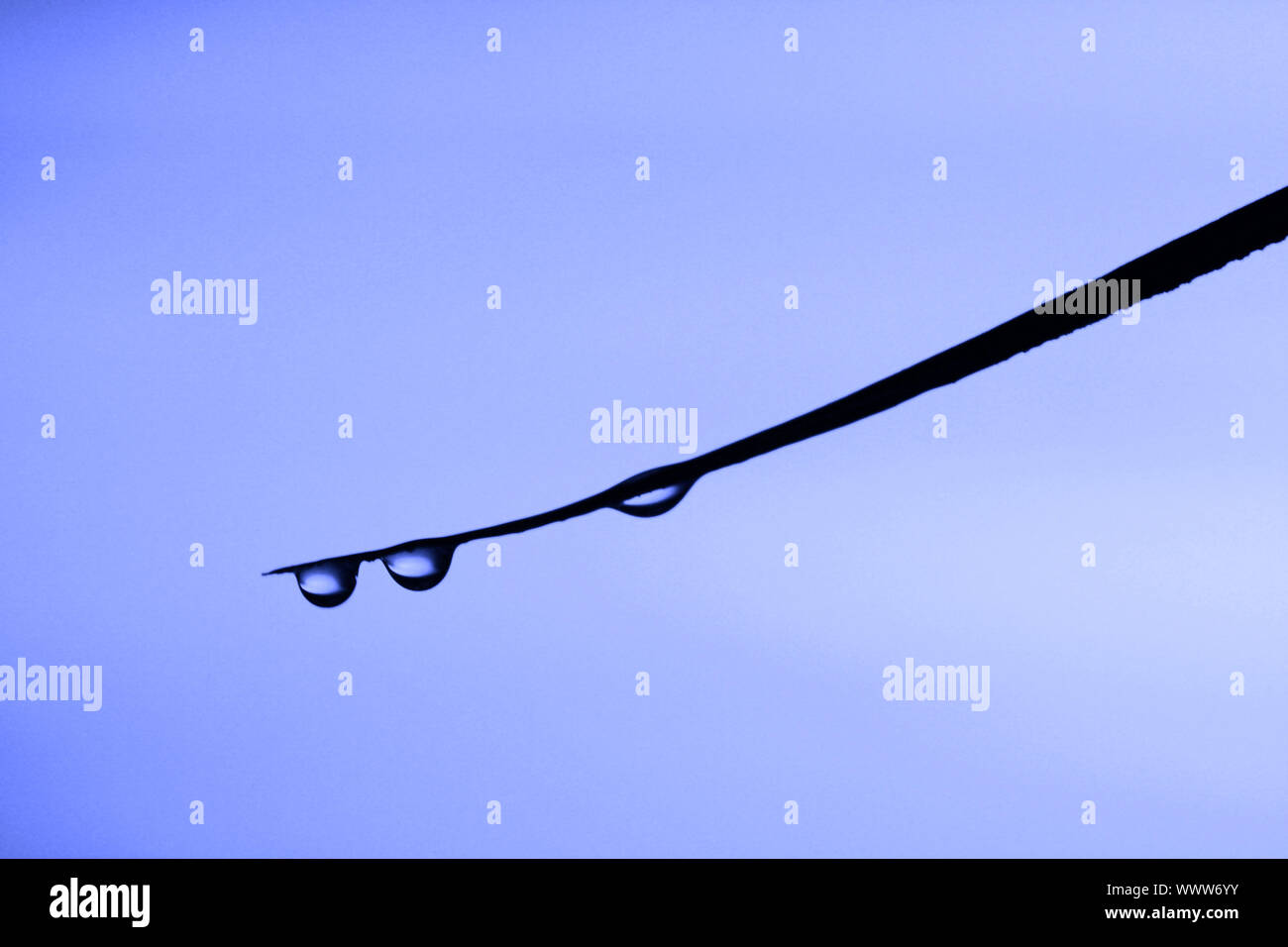 big water drop Stock Photo - Alamy