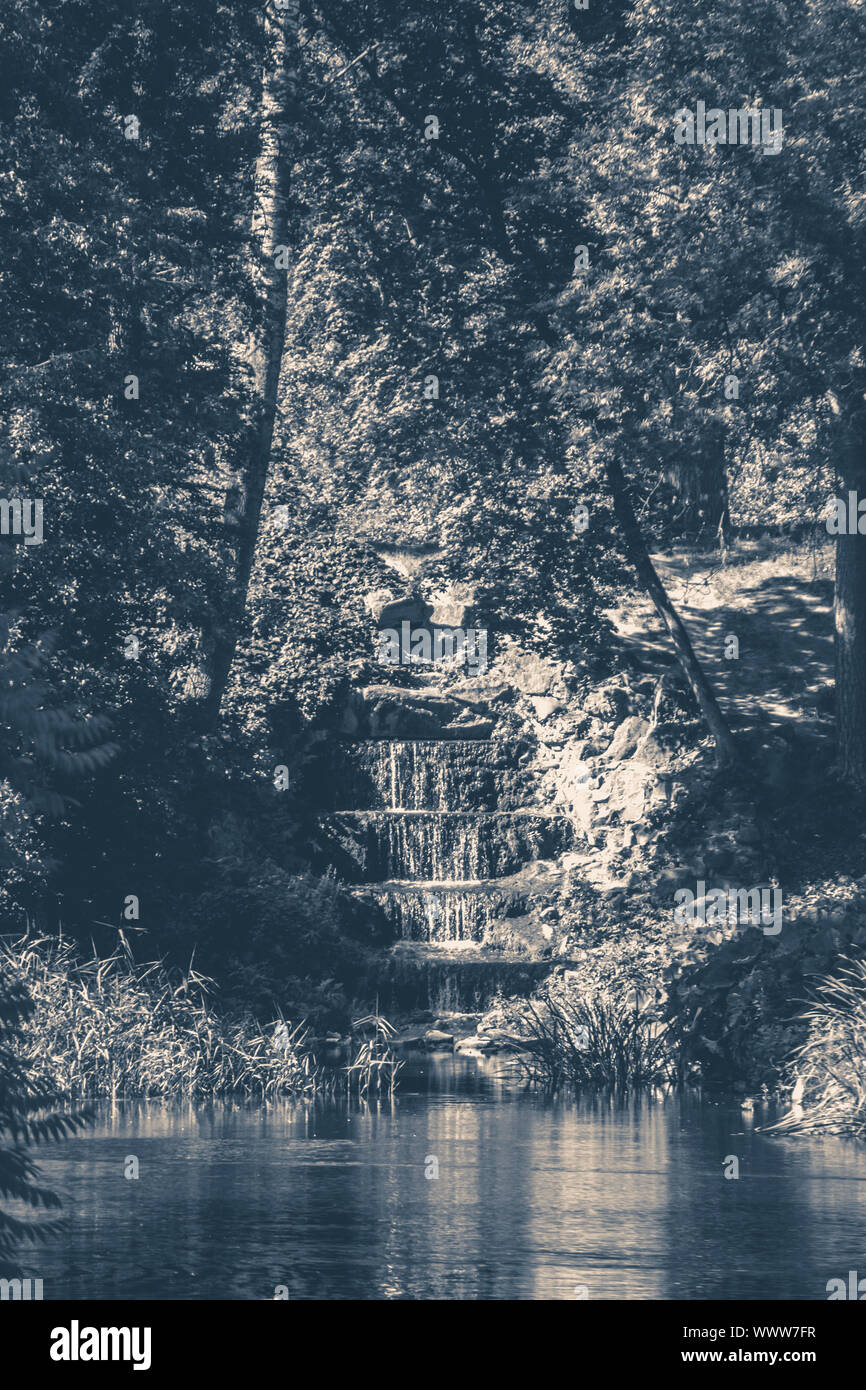Forest edge effect hi-res stock photography and images - Alamy