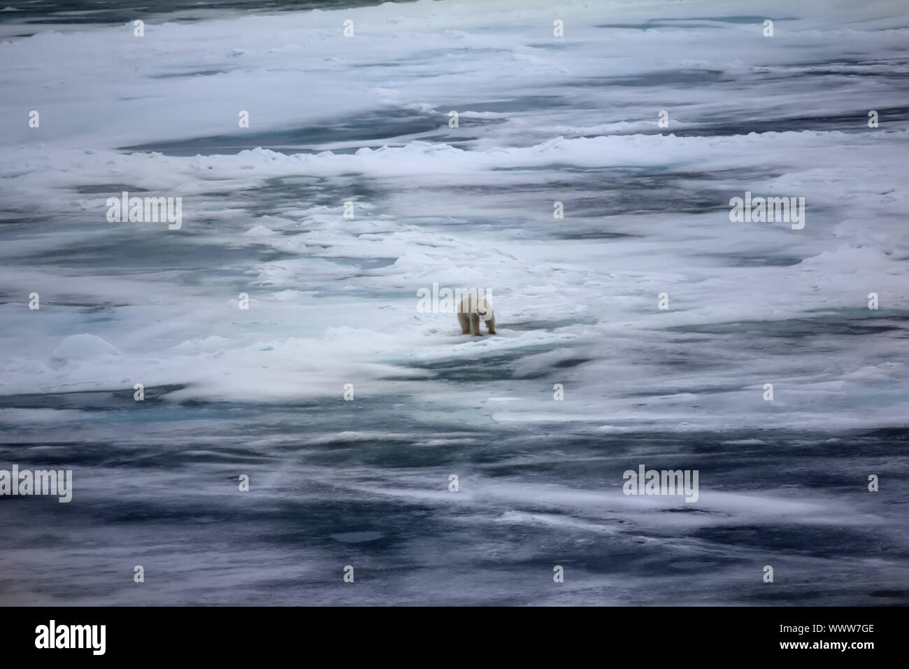 87 degrees latitude hi-res stock photography and images - Alamy