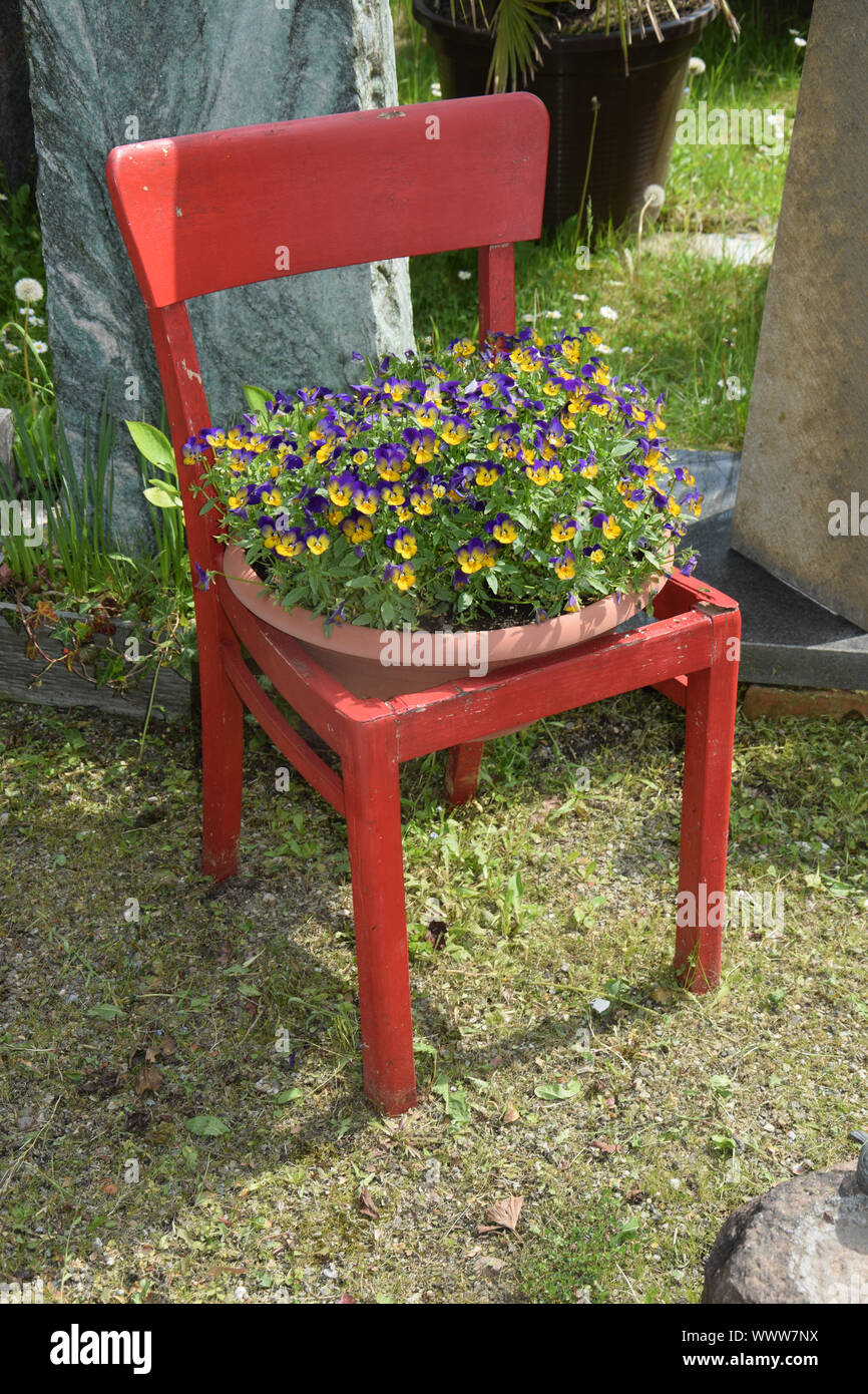 Chair with flower decoration Stock Photo - Alamy