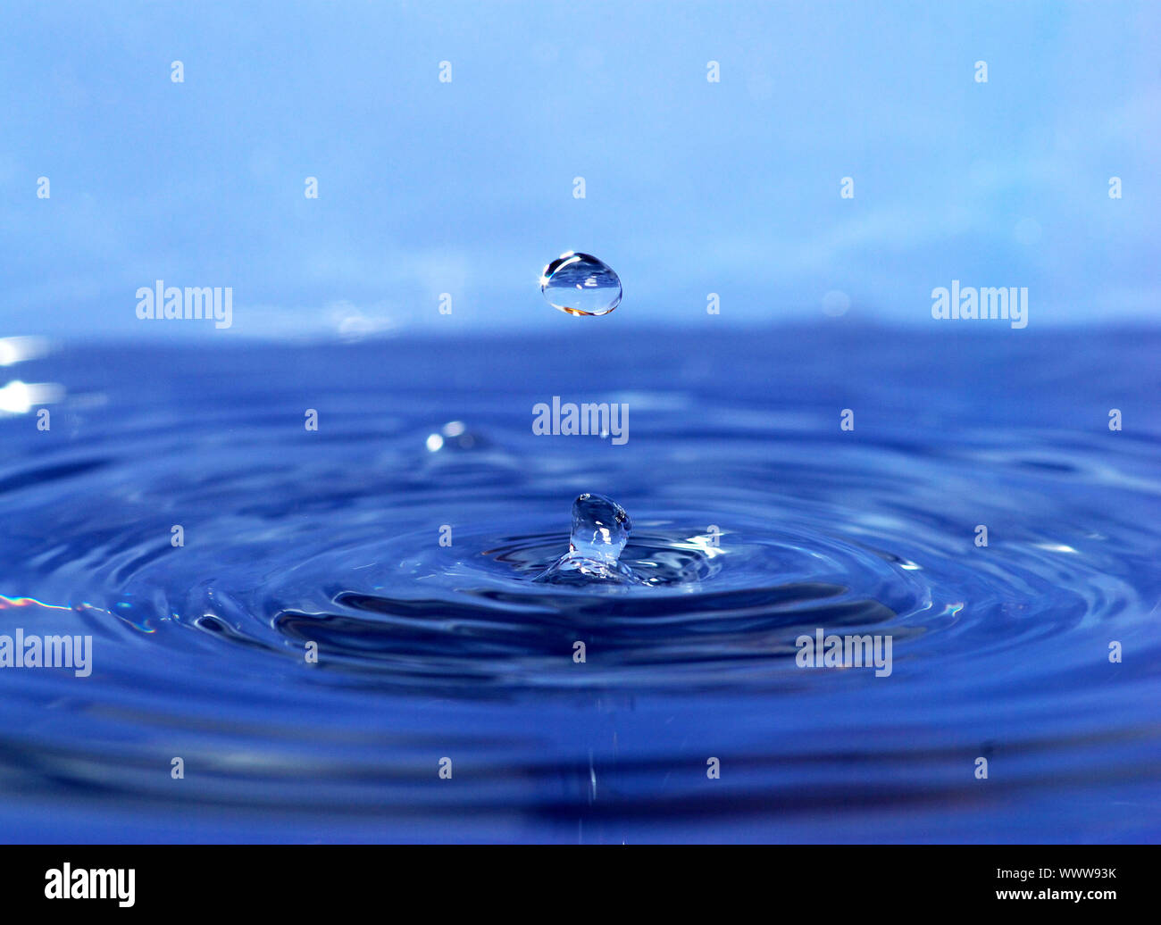 The round transparent drop of water falls downward Stock Photo - Alamy