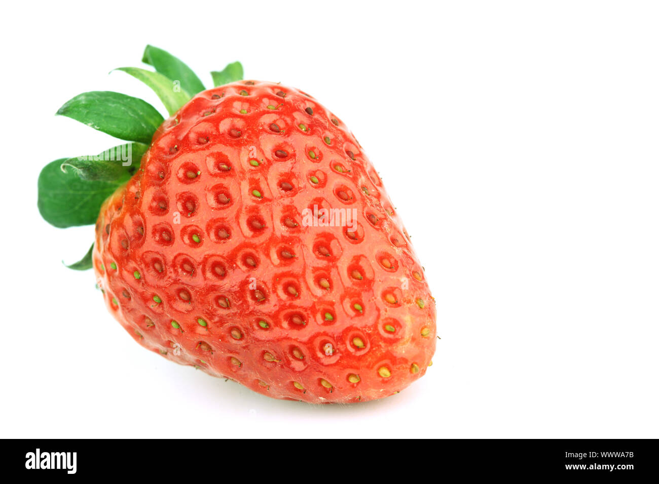 one strawberry on white background Stock Photo - Alamy