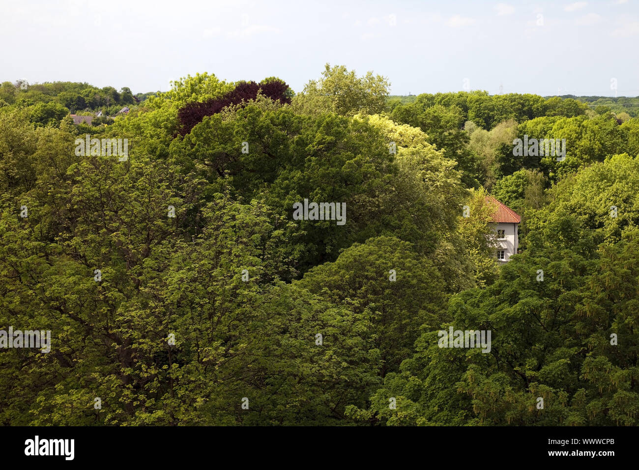 Cappenberg castle grounds, Selm, Ruhr Area, North Rhine-Westphalia ...