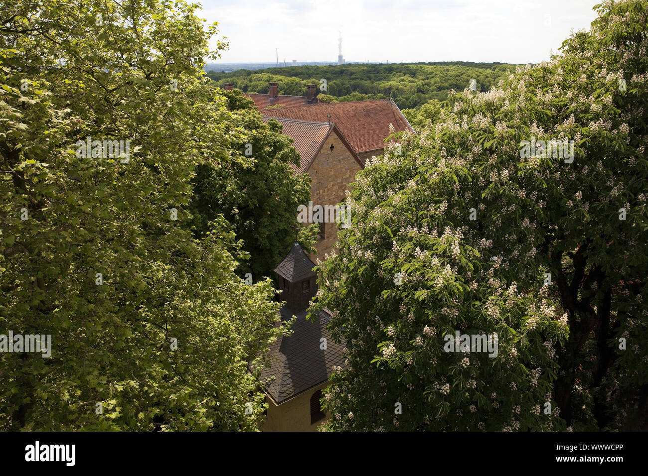 Cappenberg castle grounds, Selm, Ruhr Area, North Rhine-Westphalia ...