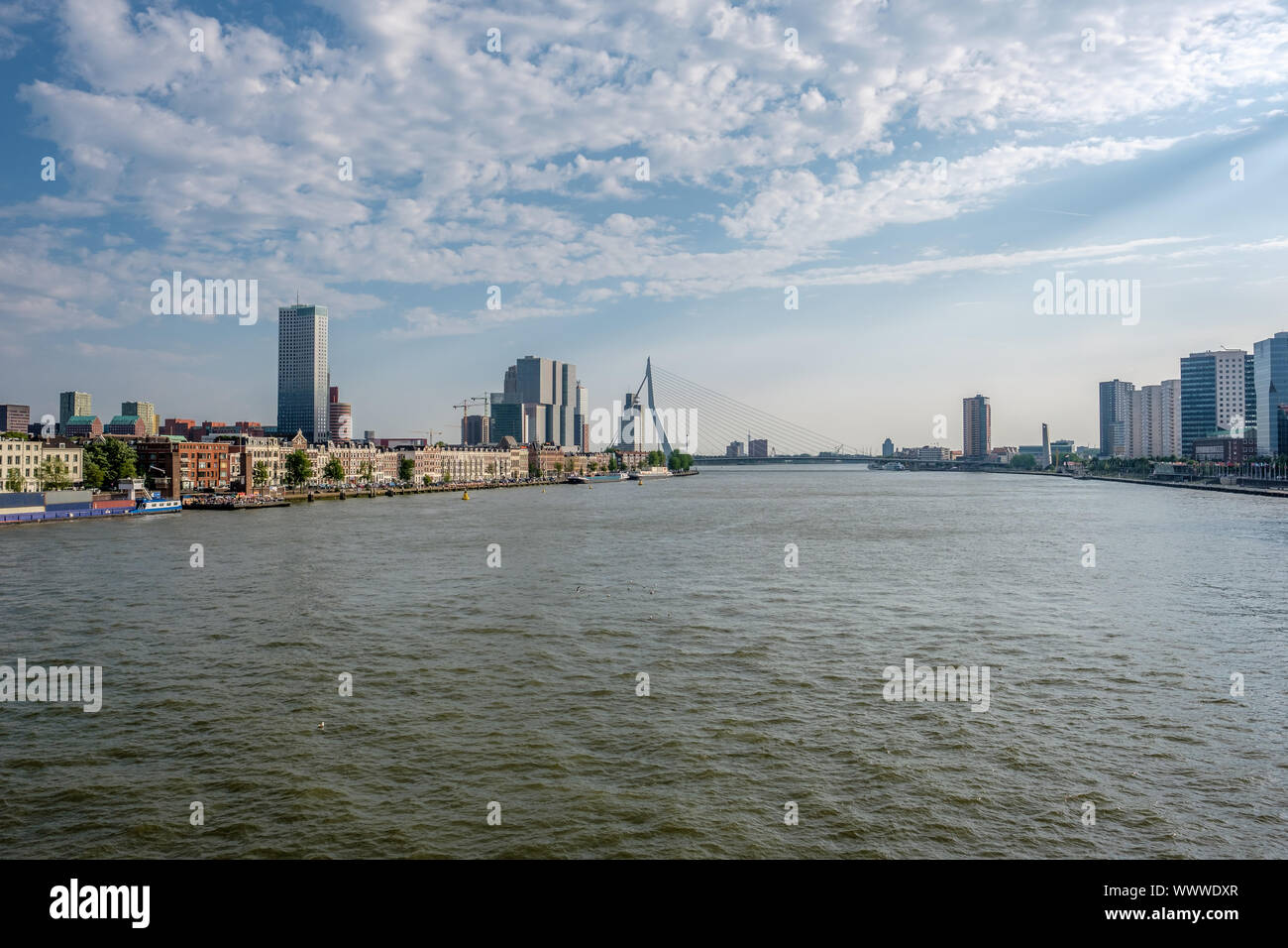 Rotterdam city cityscape skyline with Erasmus bridge and river. South ...