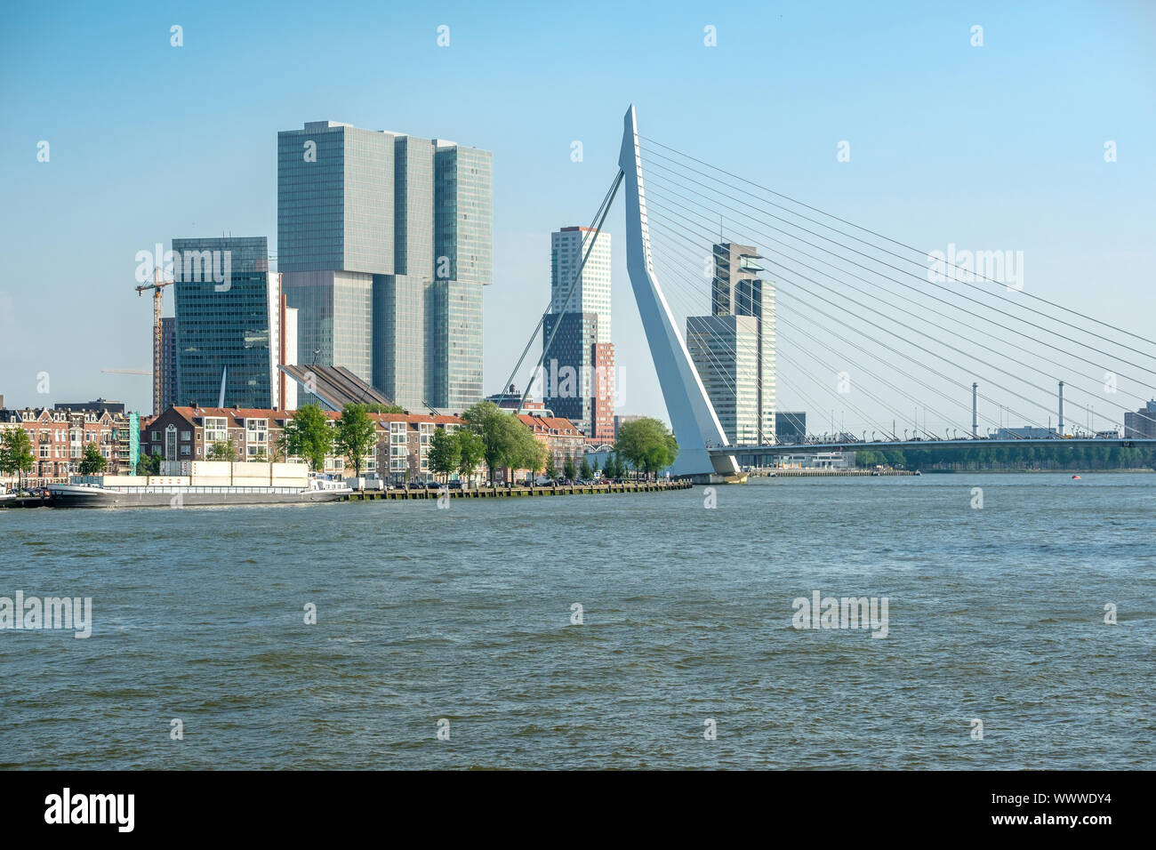 Rotterdam city cityscape skyline with Erasmus bridge and river. South ...
