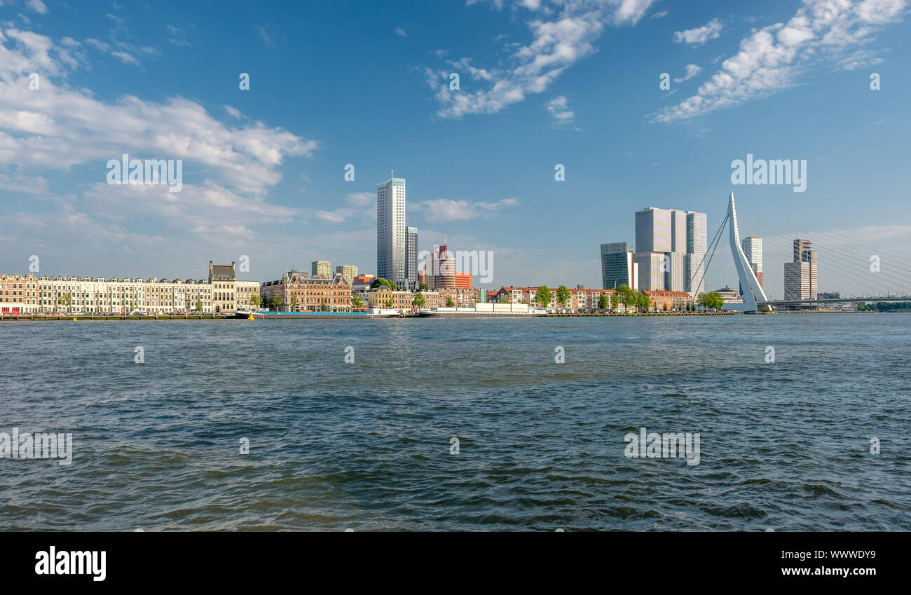 Rotterdam city cityscape skyline with Erasmus bridge and river. South ...