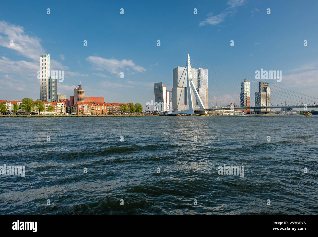 Rotterdam city cityscape skyline with Erasmus bridge and river. South ...