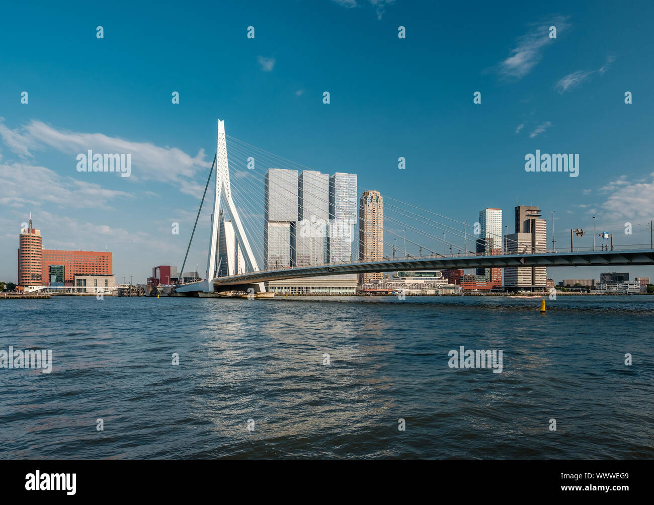 Rotterdam city cityscape skyline with Erasmus bridge and river. South ...