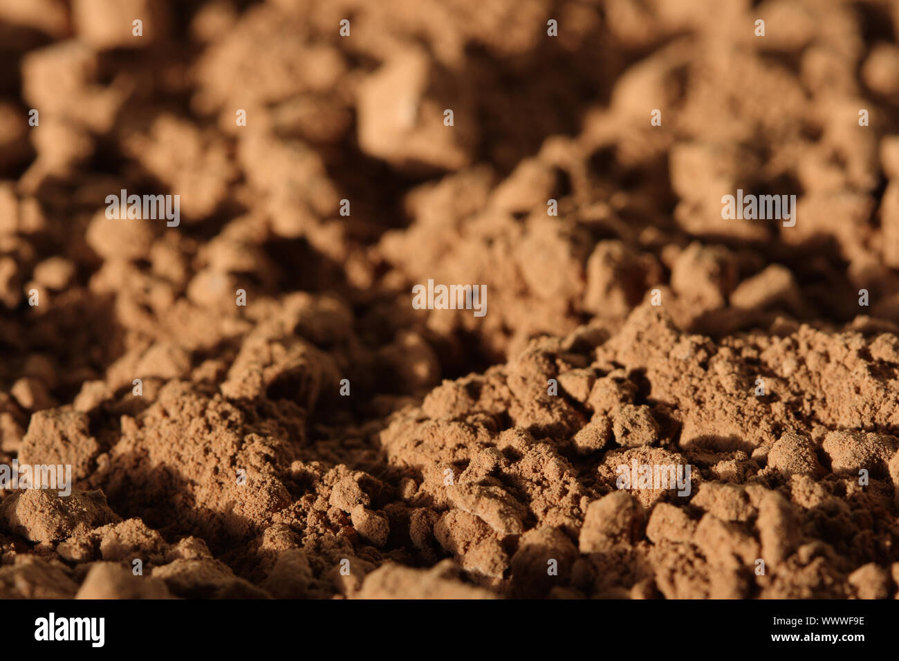 cocoa powder background. shallow DOF Stock Photo - Alamy
