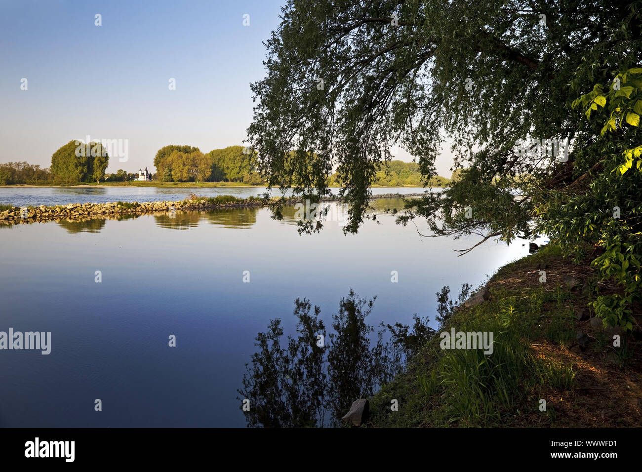 river Wupper flowing into the Rhine, Leverkusen, North Rhine-Westphalia ...
