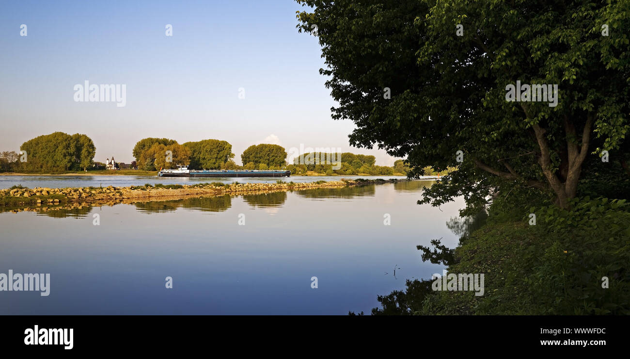 river Wupper flowing into the Rhine, Leverkusen, North Rhine-Westphalia ...