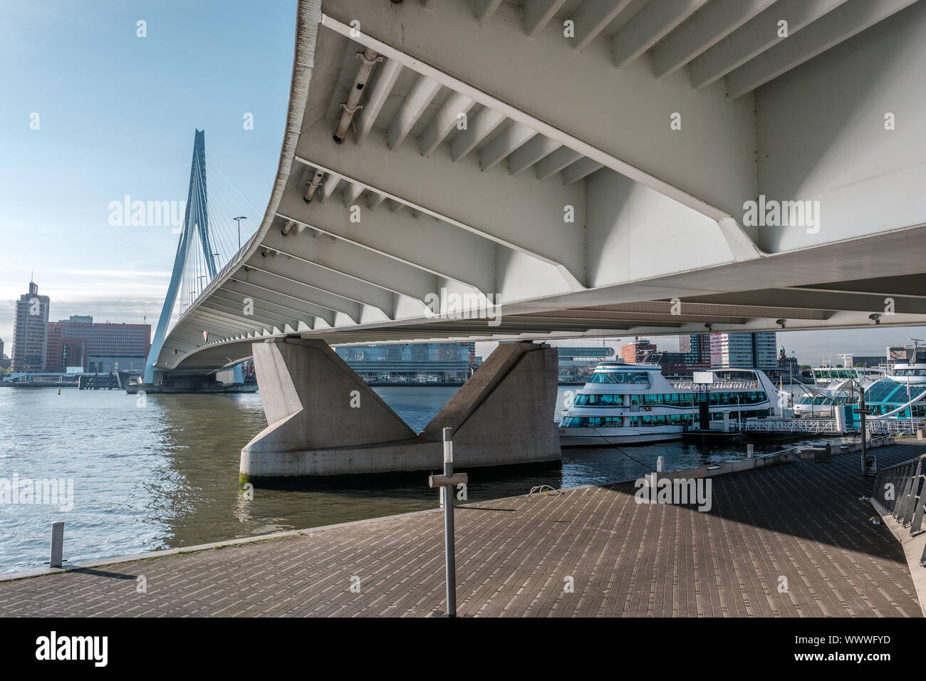 Rotterdam city cityscape skyline with Erasmus bridge and river. South ...