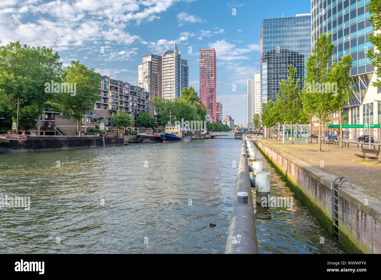 Rotterdam water front hi-res stock photography and images - Alamy