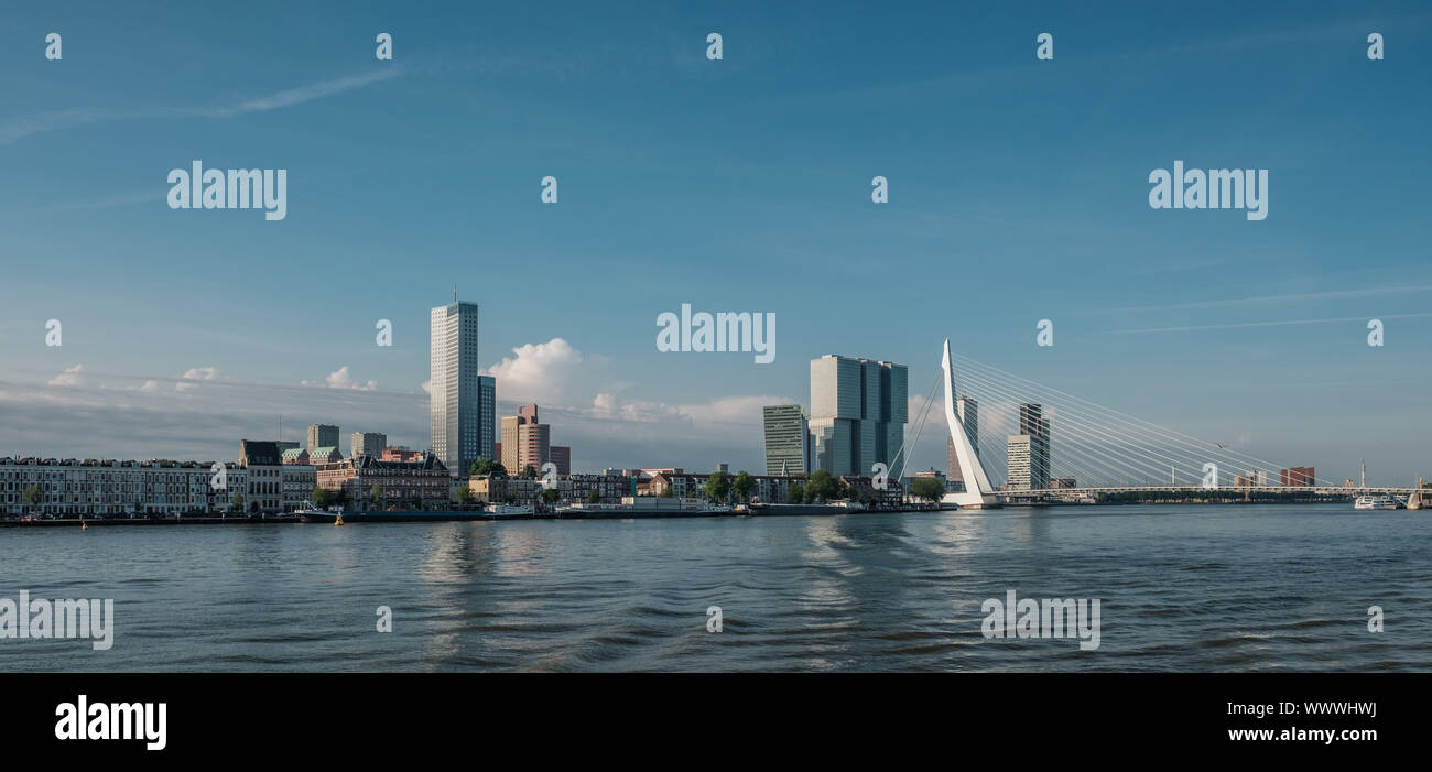 Rotterdam city cityscape skyline with Erasmus bridge and river. South ...