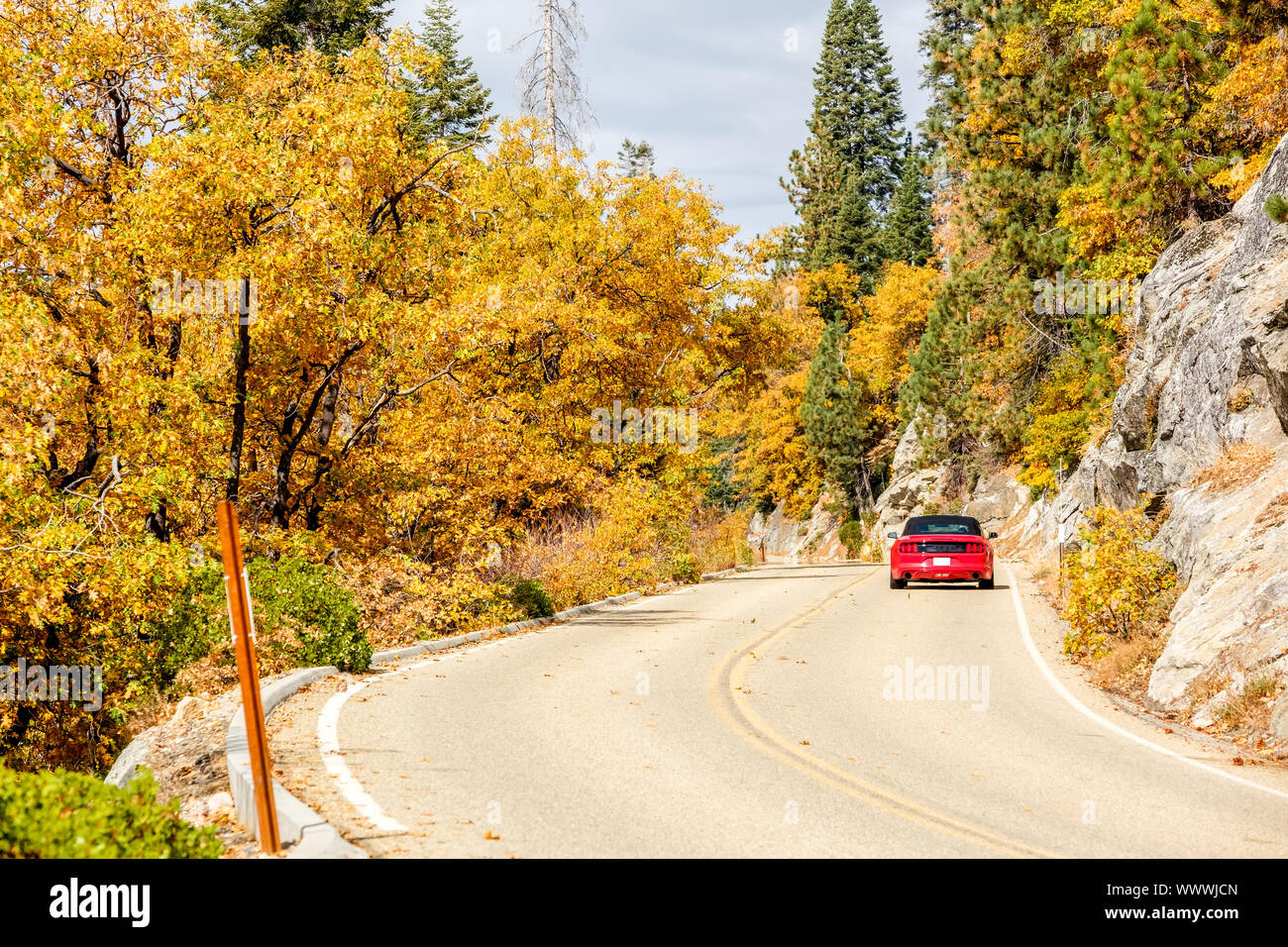 Winding road sequoia national park hi-res stock photography and images ...